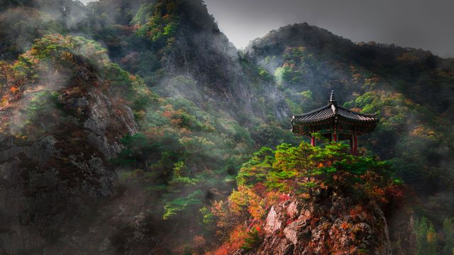 雾蒙蒙的秋天 Windows 4k壁纸 Windows 聚焦 Spotlight 锁屏壁纸